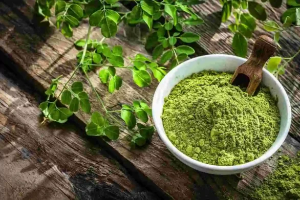 Home | Moringa 4 South Africa | Buy Moringa Online
